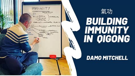 Practical Steps To Build Immune System