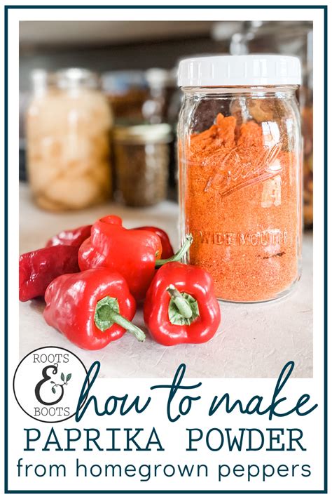 How To Make Paprika Powder Roots Boots