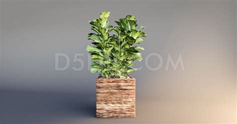 Free Tree Model Assets For D5 Render Download 301