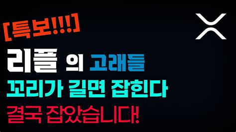 특보 리플의 고래들 꼬리가 길면 잡힌다 결국 잡았습니다 리플 리플전망 Youtube