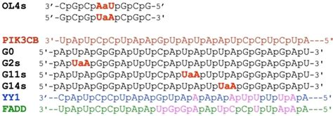 Synthesis And Properties Of Rna Modified With Thioamide Internucleoside Linkage Gafur 2024