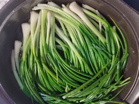 쪽파강회 레시피 쪽파말이 만드는방법 돌돌감아 달큰한 쪽파강회무침