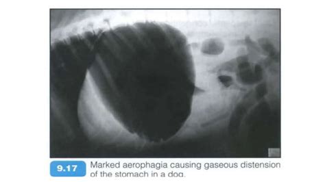 Radiographic Quality Density Contrast Detail Radiographic