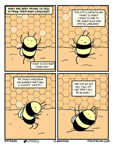 Interpreting Bee Dance R Comics
