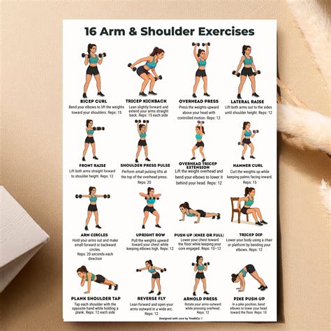 16 Arm And Shoulder Exercises Poster Printable Workout Chart Pdf