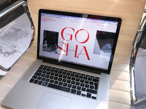 gosha khidzhakadze personal website fonts in use
