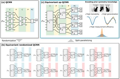 Resource Efficient Equivariant Quantum Convolutional Neural Networks