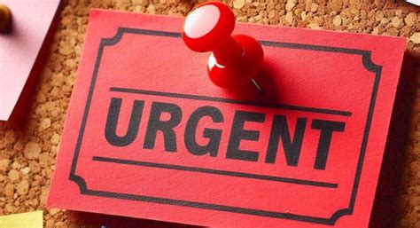 Laura Grassi On Linkedin Frontend Backend Dev Programming Urgent