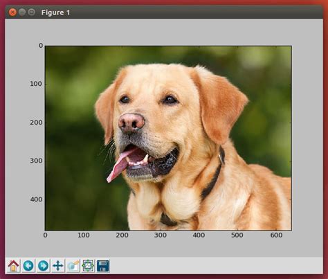 Tensorflow 寫入與讀取 Tfrecords 檔案格式教學 G T Wang