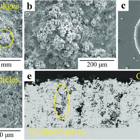Sem Photos Of Sample A A Surface Morphology B Magnified Surface