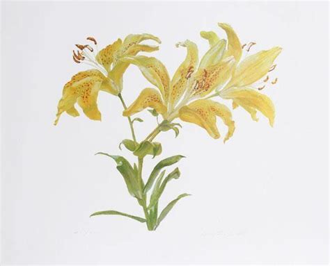 Tiger Lily Carol Ann Bolt Rogallery