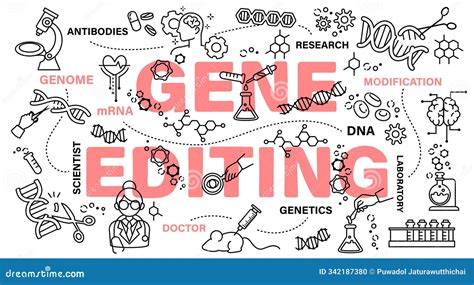 Gene Editing Of T Cells In Cancer Immunotherapy Stock Illustration