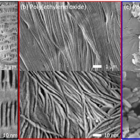 Morphology And Microstructure Of The A Polypropylene Membrane Black
