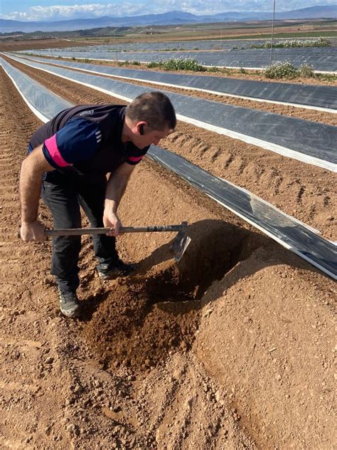 Digiagri Se Prepara Para La 2ª Campaña De Riego Digiagri