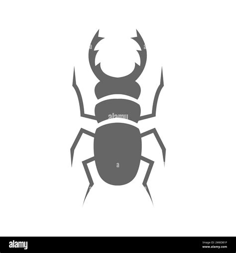Beetle Icons Common Graphic Resources Vector Illustrations Stock Vector Image And Art Alamy