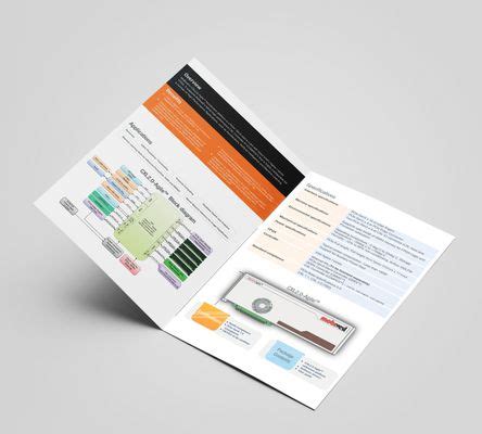 FPGA Platforms Mobiveil Silicon IP IP Enabled Services Company