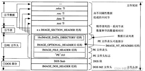 利用010进行简单的pe文件分析 010 如何解析文件 csdn博客