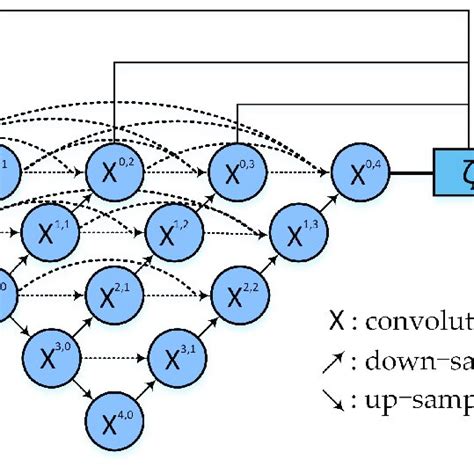 Different Model Structures On Citrus Crown Segmentation Download