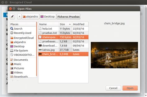 Multiple File Selection From The File Explorer Download Scientific Diagram
