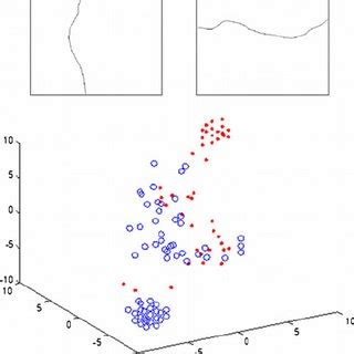 Phase Space Representation In A Three Dimensional Coordinate System C Download Scientific
