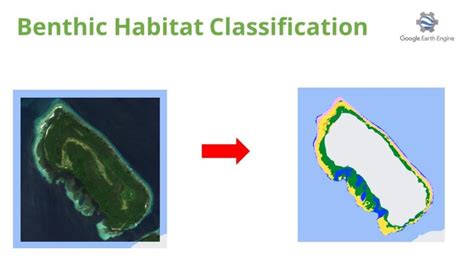 Ramadhan On Linkedin Benthic Habitat Classification With Planetscope Imagery In Earth Engine