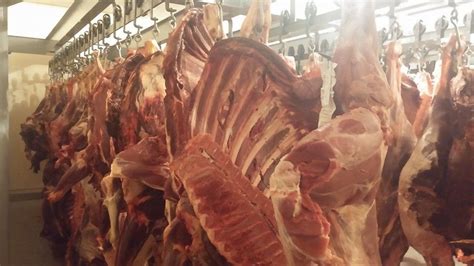 Gallery Sharp Custom Cutting Inc