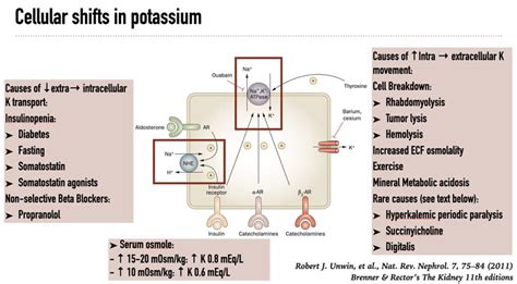 Practical And Pathophysiologic Approach To Hyperkalemia