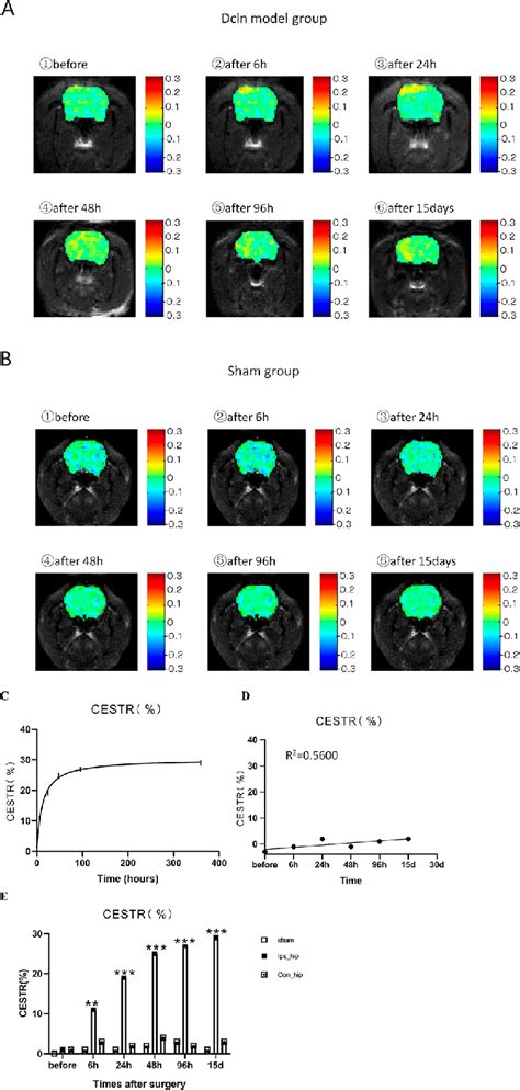 A Lym Cest Effects At Different Time Points After Deep Cervical Lymph Download Scientific