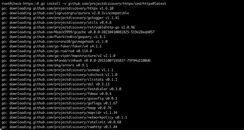 Fuzzing In Cybersecurity A Practical Guide With Goofuzz And X