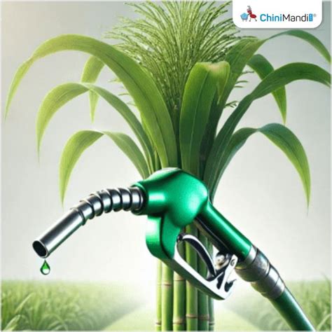 Government Issues Clarification Regarding Ethanol Production From