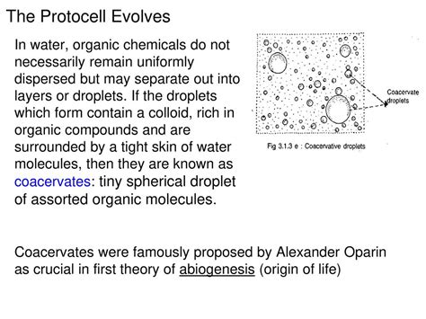 Origin And History Of Life Ppt Download