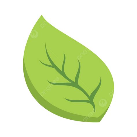 ناقلات الكرتون ورقة خضراء كبيرة ورقة الشجر أخضر كبير Png والمتجهات للتحميل مجانا