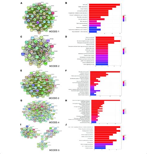 Results Of Mcode Analysis In Common Degs Acegi Use Cytoscape