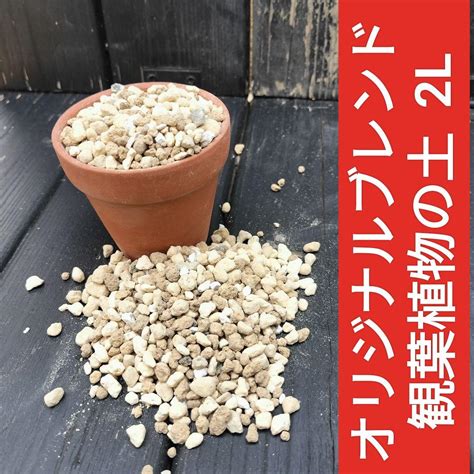 観葉植物の土 オリジナルブレンド2リットル 匿名配送 メルカリ
