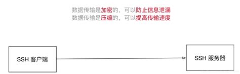 史上最全的linux常用命令汇总（超全面！超详细！）收藏这一篇就够了！ linux命令汇总 csdn博客