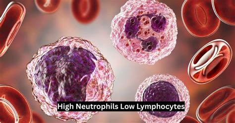 Physical Signs Of High Sex Drive In Females Key Indicators Infomagazines