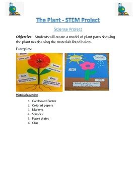 The Plant STEM Project By Rebecca Towey TPT