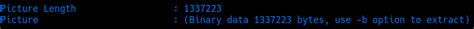 Java Reading Binary Picture Data From Exiftool Stack Overflow