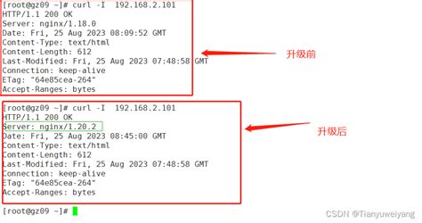 Nginx:高性能web服务器与apache对比详解 Csdn博客 Nginx:高性能web服务器与apache对比详解 Csdn博客