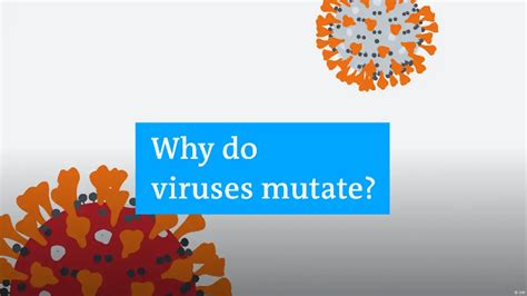 Why Do Viruses Mutate Dw 01 18 2021