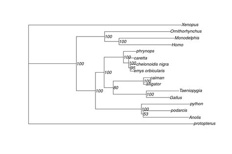 Introduction To Computational Evolutionary Biology 4 Maximum