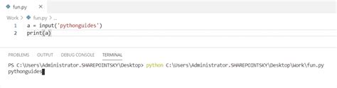 Python Ask For User Input Examples Python Guides