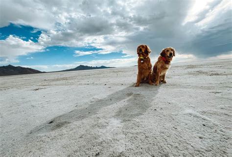 Bonneville Salt Flats Blm Camping Wendover Utah