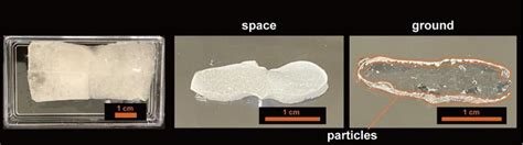 Research Uncovers Charged Particles Physical Property In Microgravity