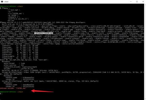 unknown encoder libfdk aac · issue 216 · btbn ffmpeg builds · github