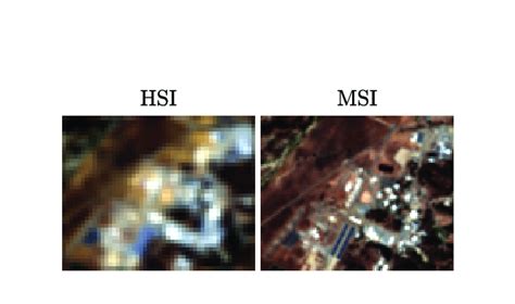 5 True Color Representation Of The Hsi And Msi Lockwood Download