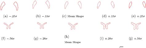 Figure 3 From Novel Approach For Curve Evolution In Segmentation Of Medical Images Semantic