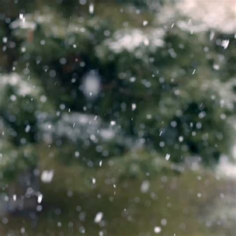 Angela 🌌 B Posted On Linkedin