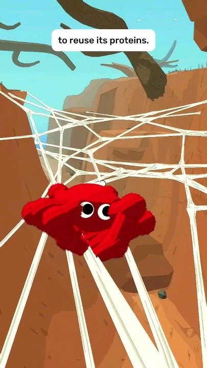 Spider Fact 6 Spider Silk Fluffy Spider Game Gaming Indiegame