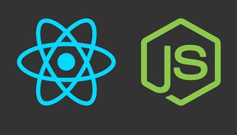 Develop Reactjs Frontend Website With Nodejs Backend Api By